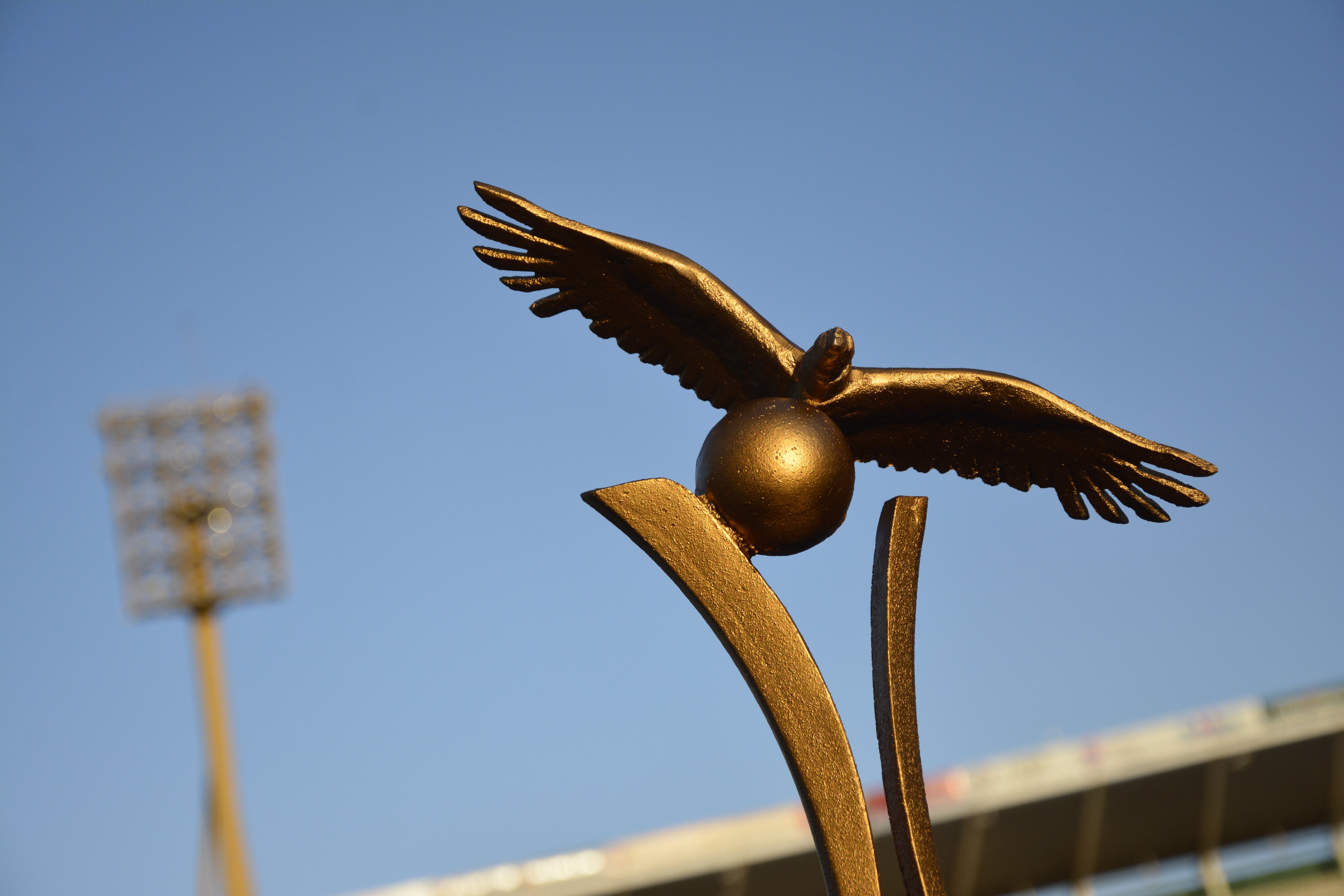 “Pechito” corre y vuela alto: “Cóndor de oro 2020” – Ojo Web